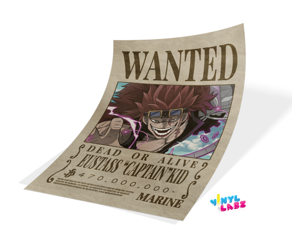 Captain Kid - Wanted Poster – Vinyl Labz